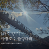 서울근교 단풍명소 파주 마장호수 둘레길 실시간단풍주차정보 네이버 블로그